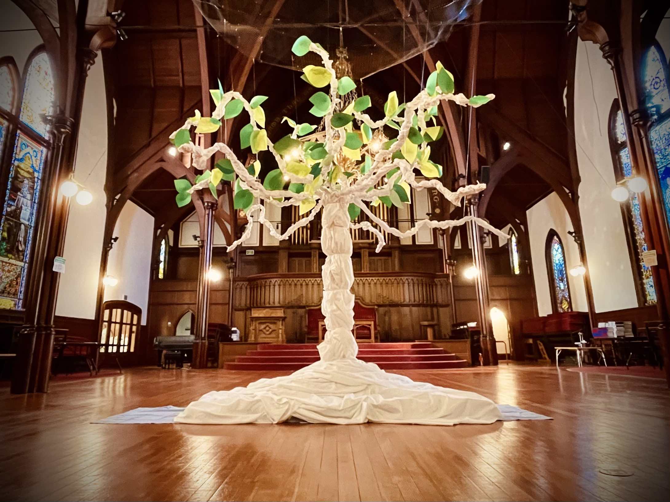 An Epiphany Tree – Still Waters