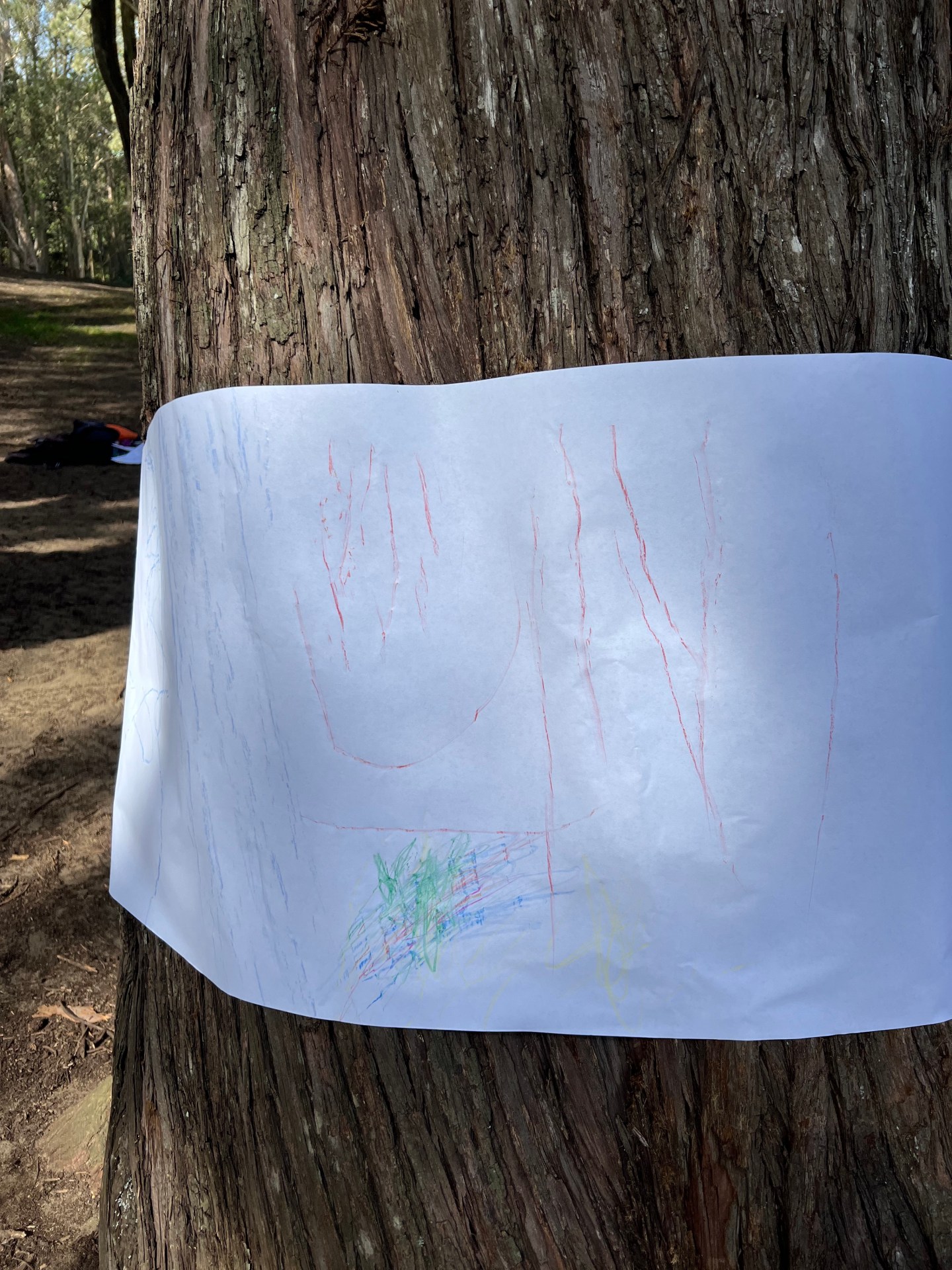 Into the Woods: A Journey into Lent – Still Waters